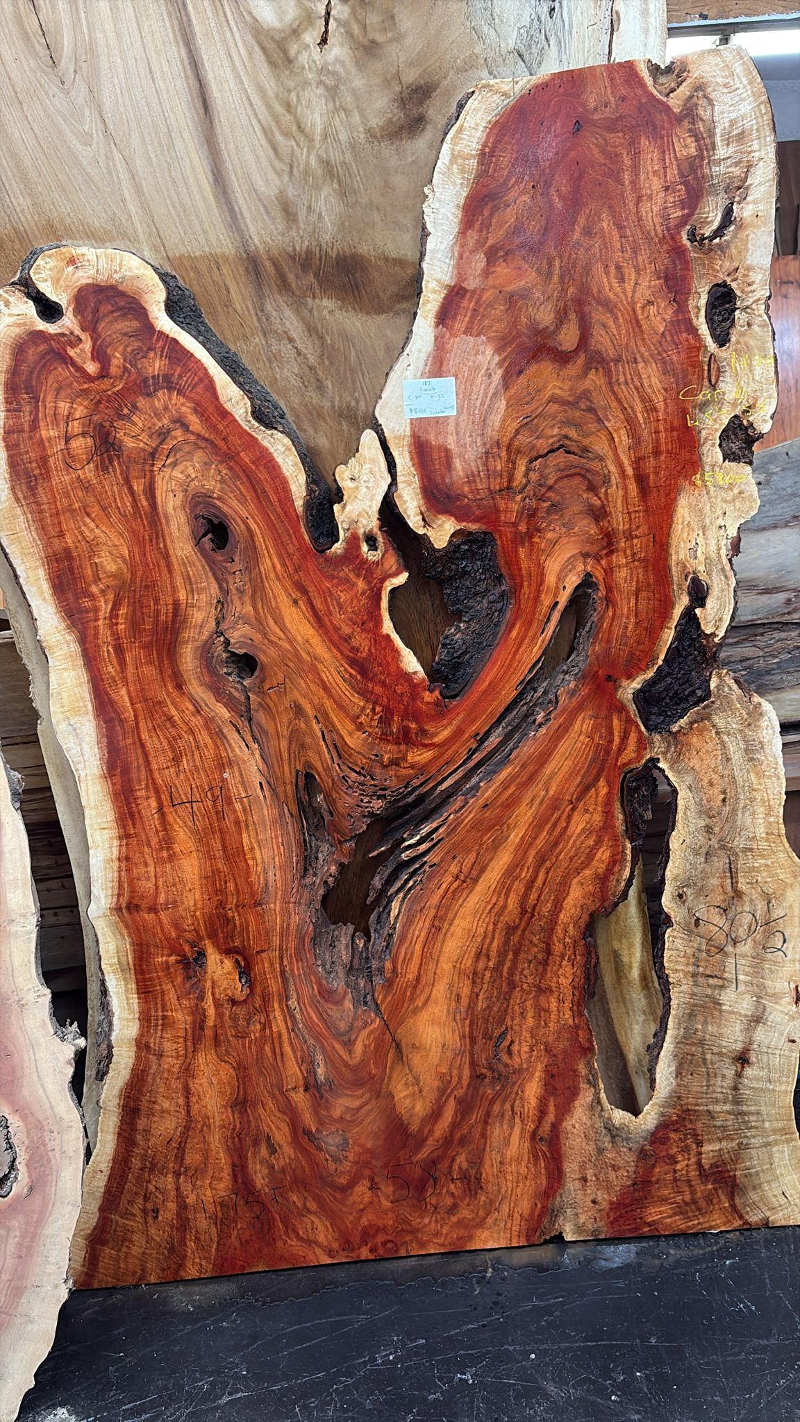 Live Edge Carob Slab #183 – 80" x 52" – SAN DIEGO RUSTIC